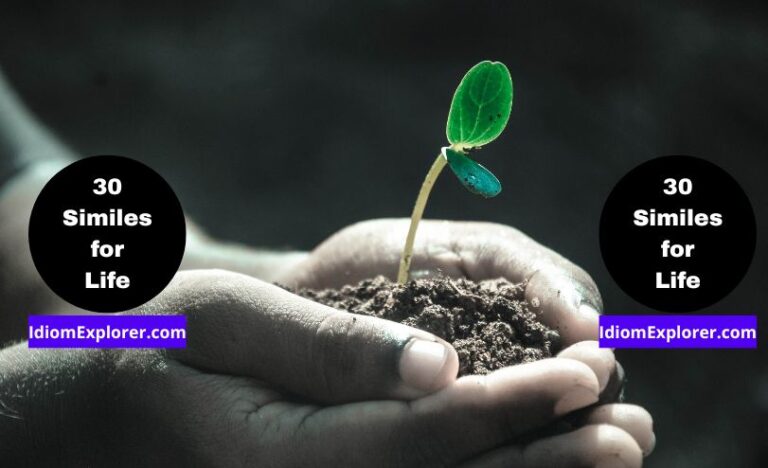 30 Similes for Life (with Meaning, Examples & Quiz) - Idiom Explorer